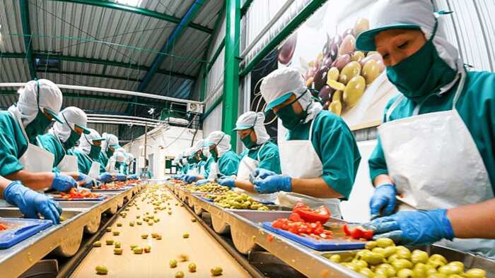 Growth of Indian Food Industry | Udaipur Kiran