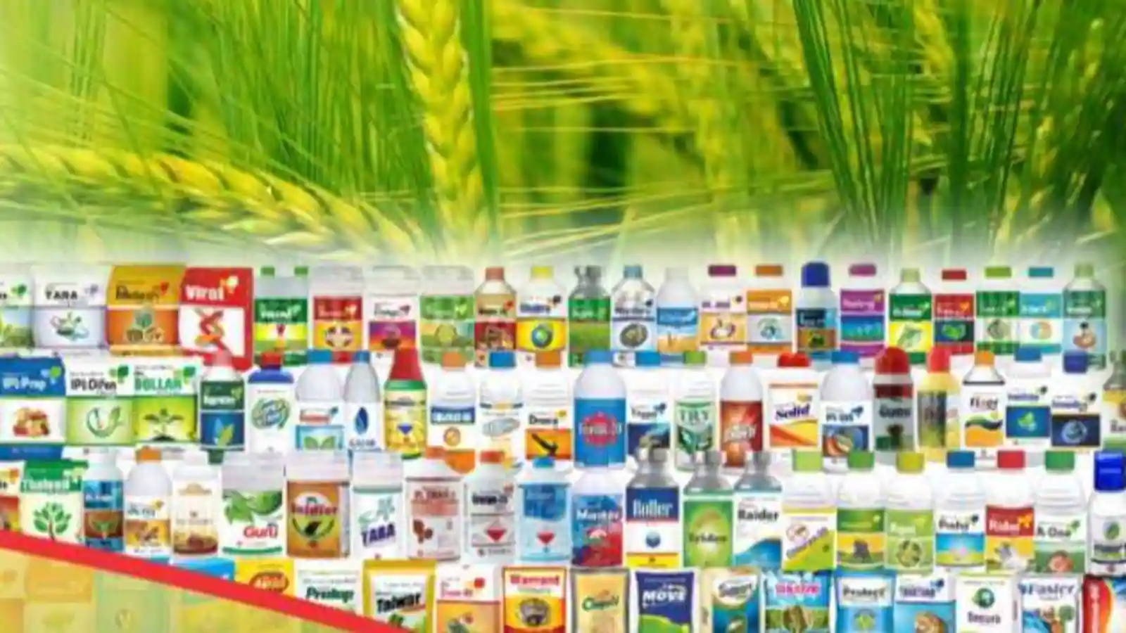 India Pesticides moves up on launching Herbicide Technical Product at ...