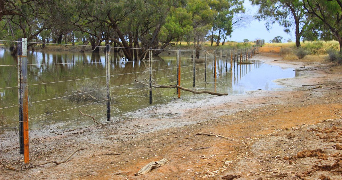 Floods Damage Border Fencing and Outposts on International Border, BSF ...