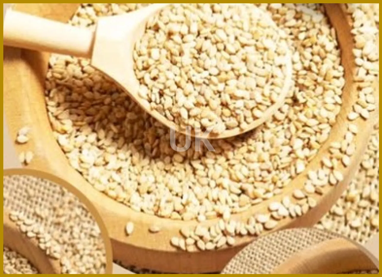 Calcium-Rich Sesame Seeds Boost Bone Health